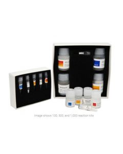 RGENs- CRISPRs - CRISPR-RGEN, TALEN & ZFN - Products